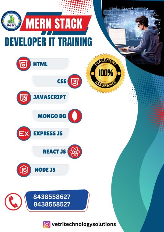 VETRI TECHNOLOGY SOLUTIONS