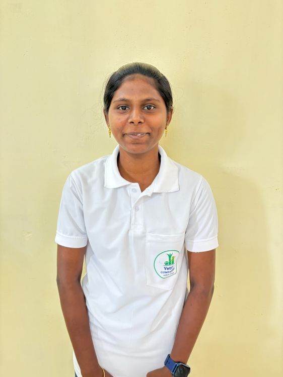 VETRI TECHNOLOGY SOLUTIONS