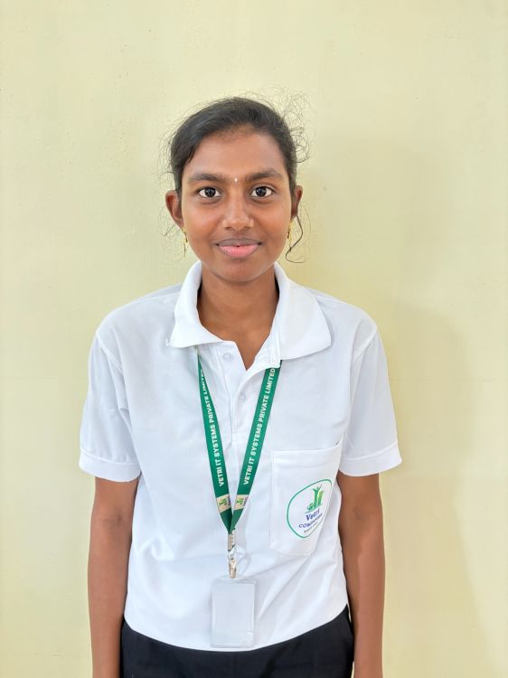 VETRI TECHNOLOGY SOLUTIONS