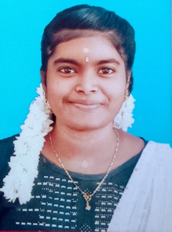 VETRI TECHNOLOGY SOLUTIONS